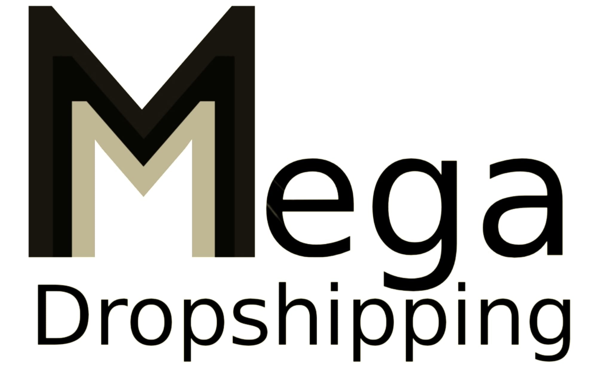 Que es el Dropshipping y como funciona? – Mega Dropshipping